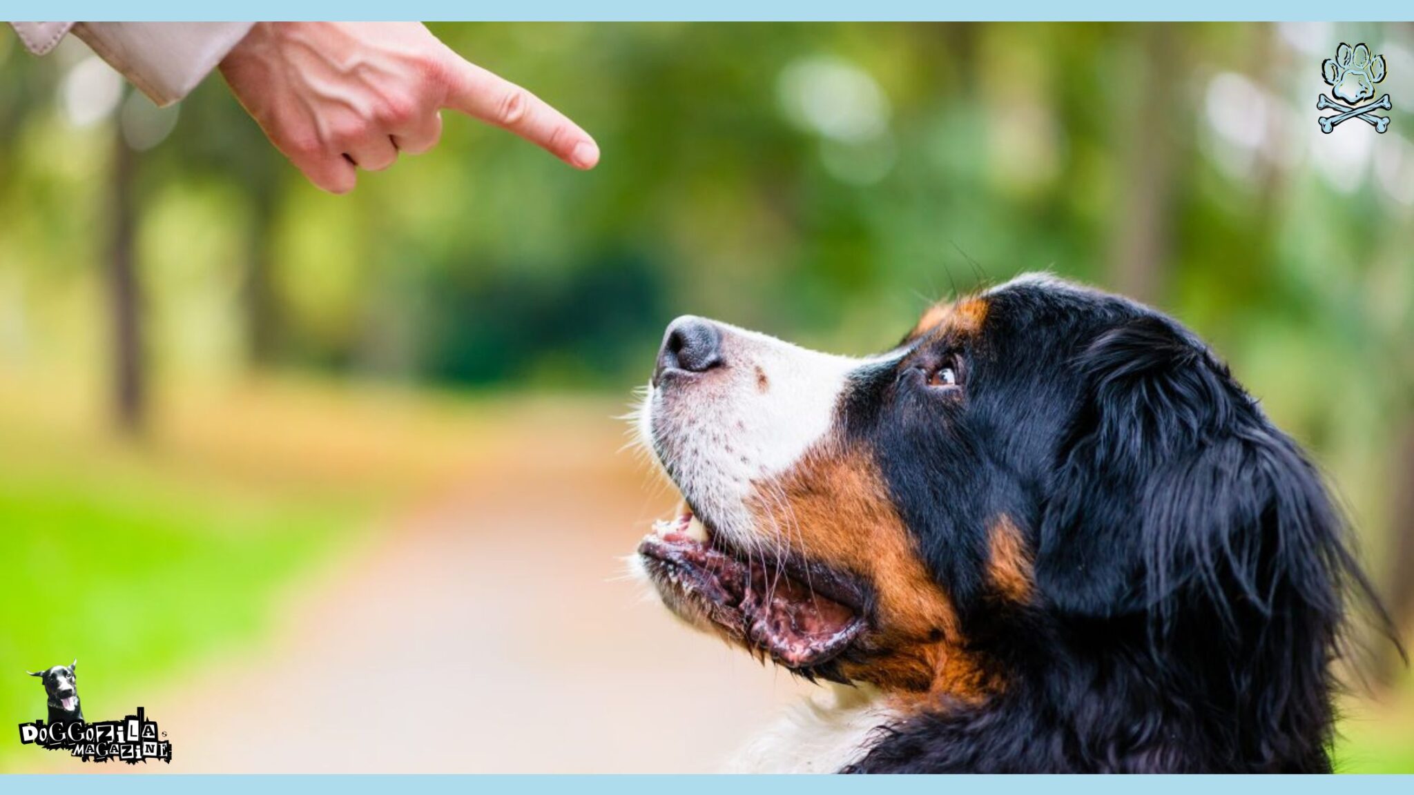 Hardest Dogs to Train, According to Experts • Doggozila Magazine