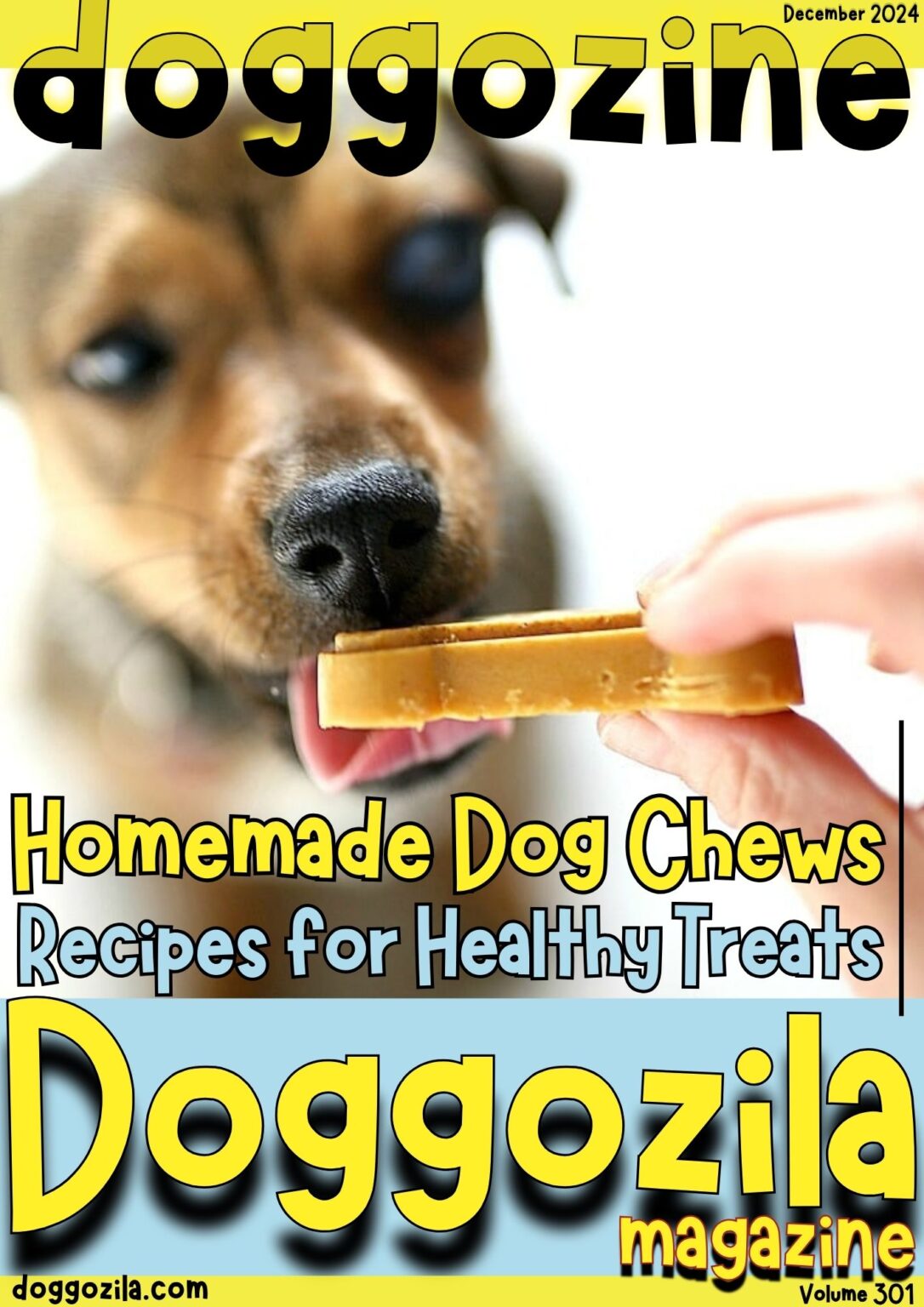 Homemade Dog Chews: Recipes for Healthy Treats • Doggozila Magazine