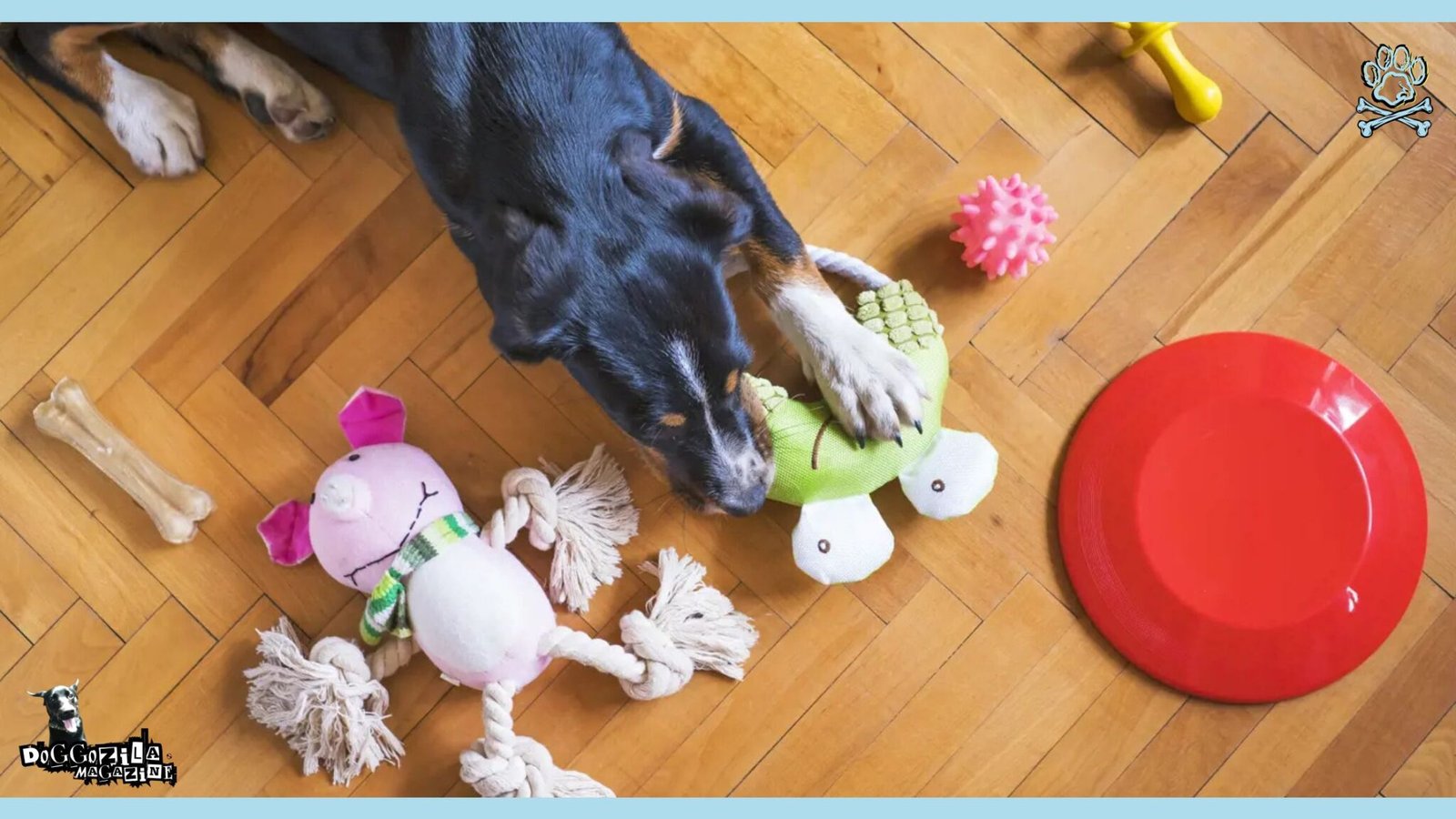 Smart Dogs: Fun Ways to Test Your Dog's Intelligence – Doggozila Magazine