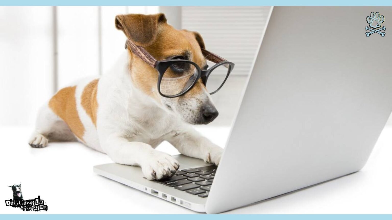 Smart Dogs: Fun Ways to Test Your Dog's Intelligence – Doggozila Magazine