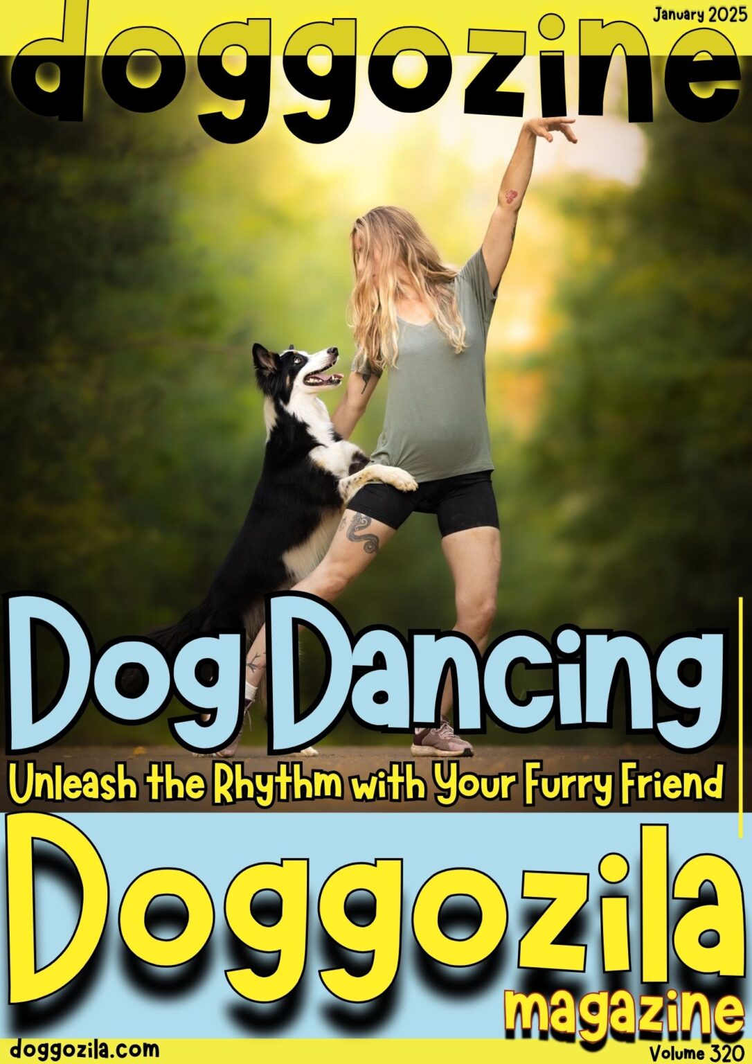 Dog Dancing: Feel the Rhythm with Your Furry Friend • Doggozila Magazine