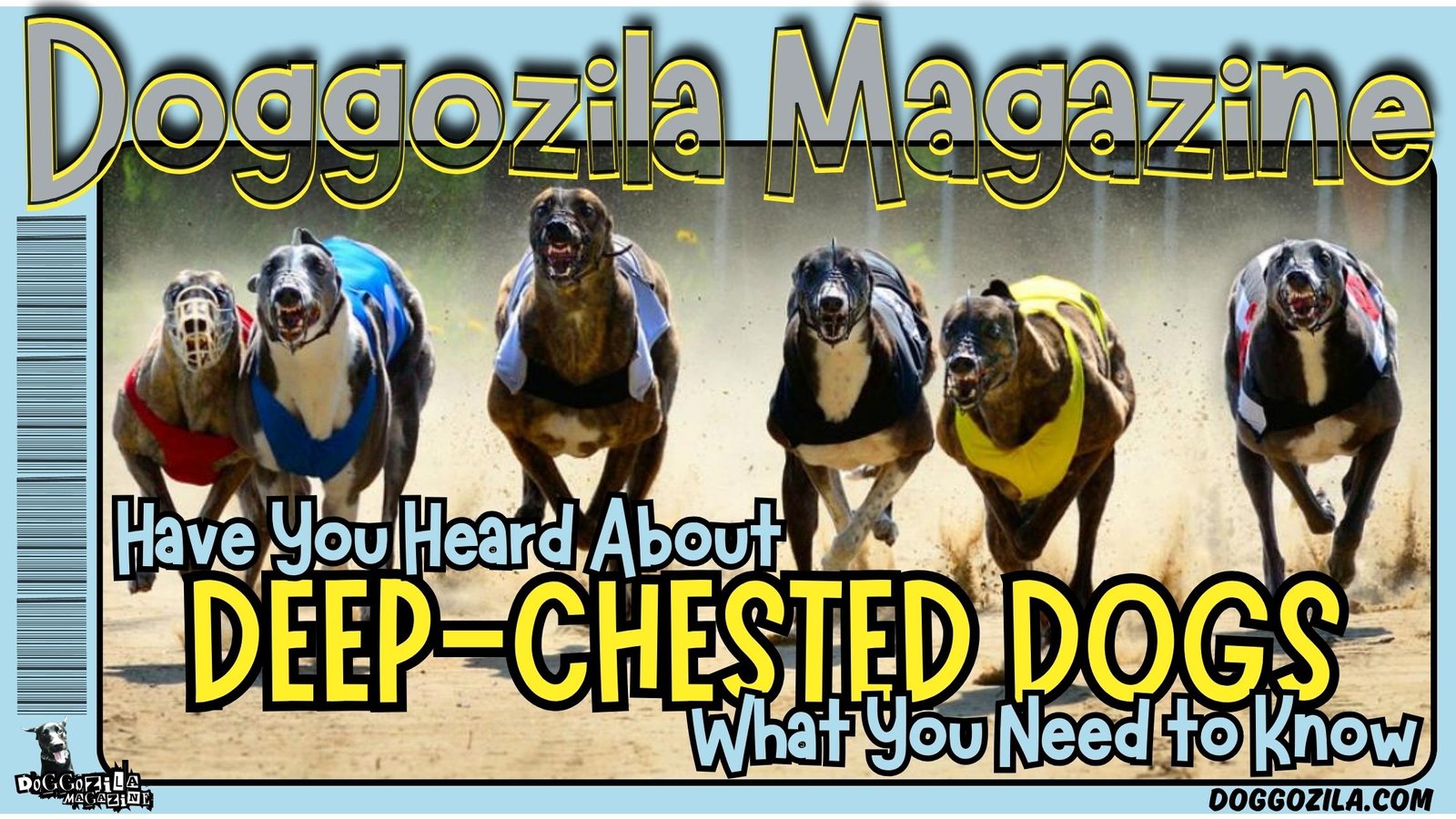 Deep-Chested Dogs: What You Need to Know – Doggozila Magazine