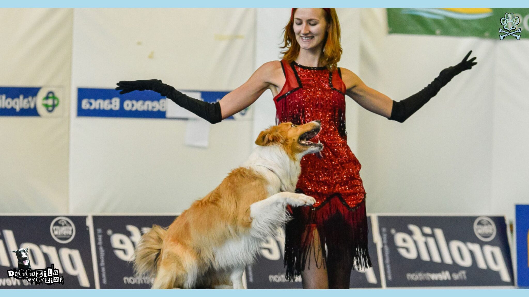 Dog Dancing: Unleash the Rhythm with Your Furry Friend - Doggozila