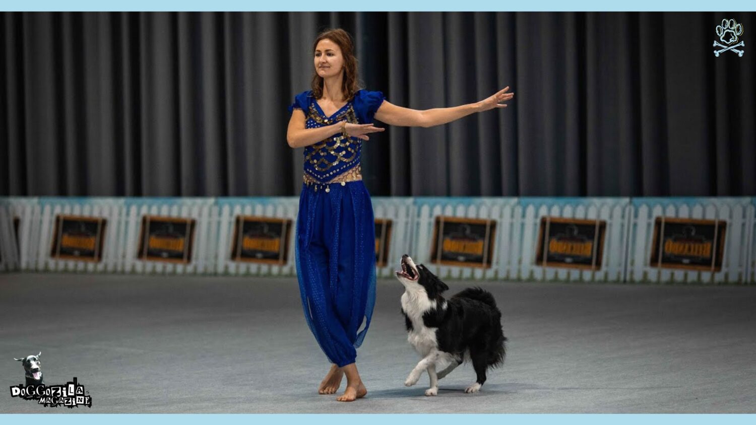 Dog Dancing: Feel the Rhythm with Your Furry Friend • Doggozila Magazine