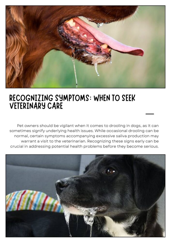 Drooling in Dogs: When Is Natural and When a Concern? • Doggozila Magazine