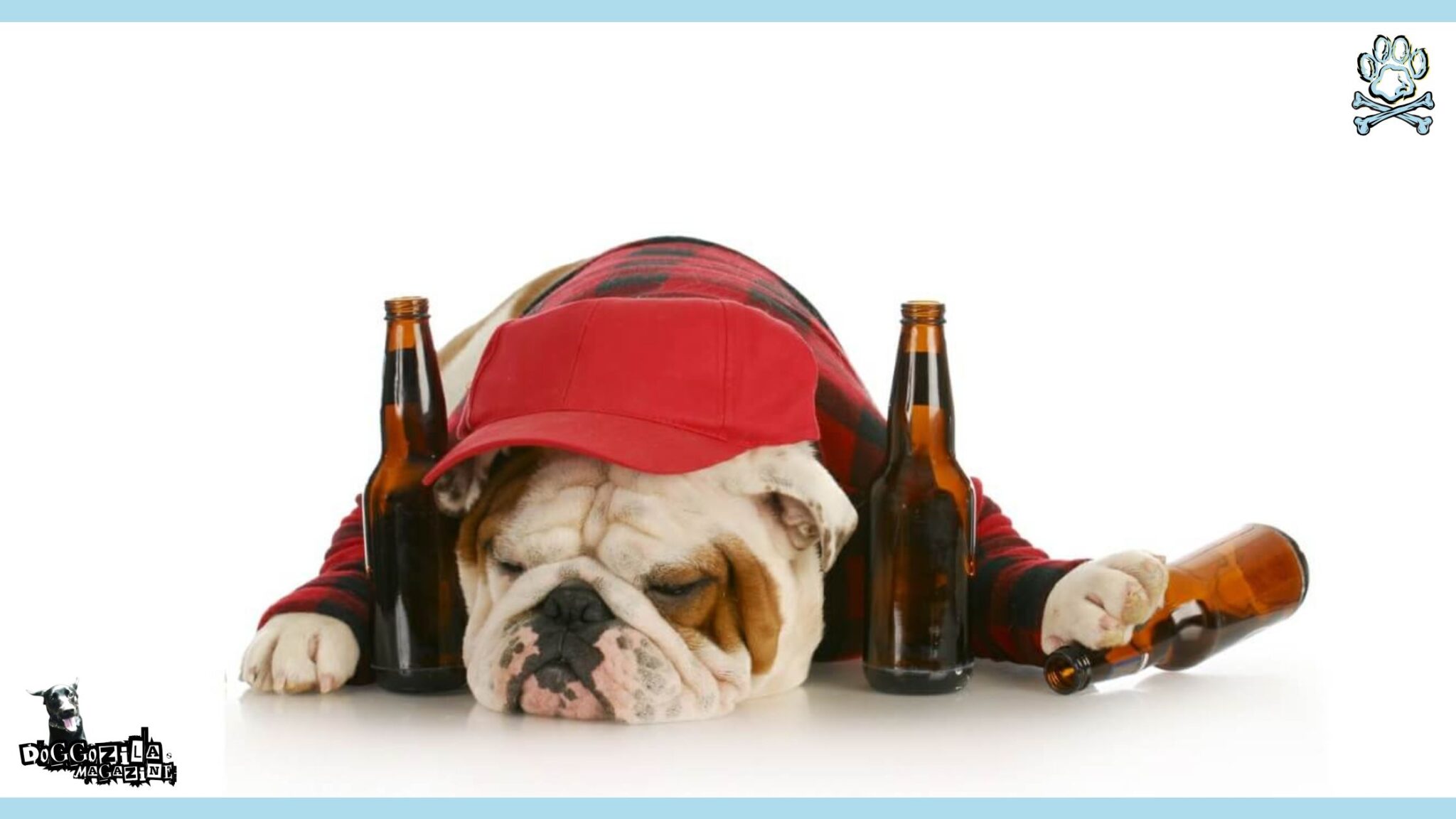 Alcohol Poisoning in Dogs: How to Help a Drunk Dog? • Doggozila Magazine