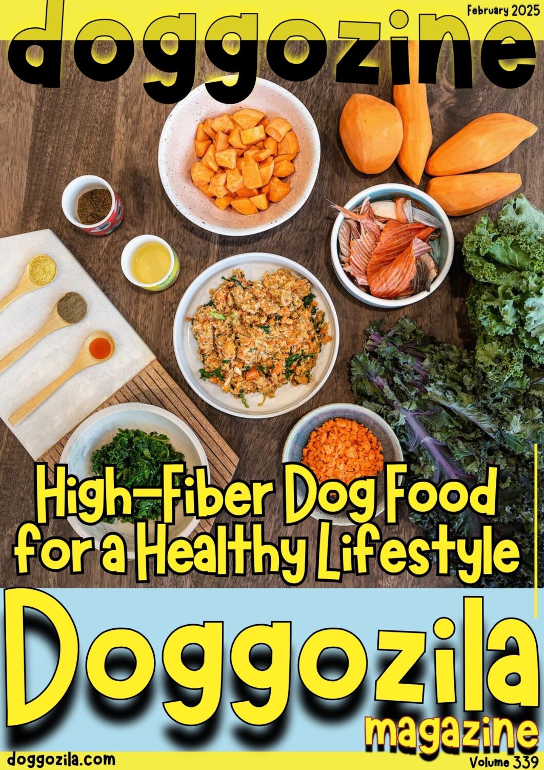 High-Fiber Dog Food Recipes for a Healthy Lifestyle • Doggozila Magazine