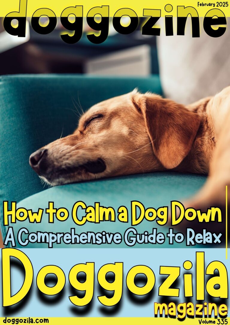 How to Calm a Dog Down Instantly: A Guide to Relax • Doggozila Magazine