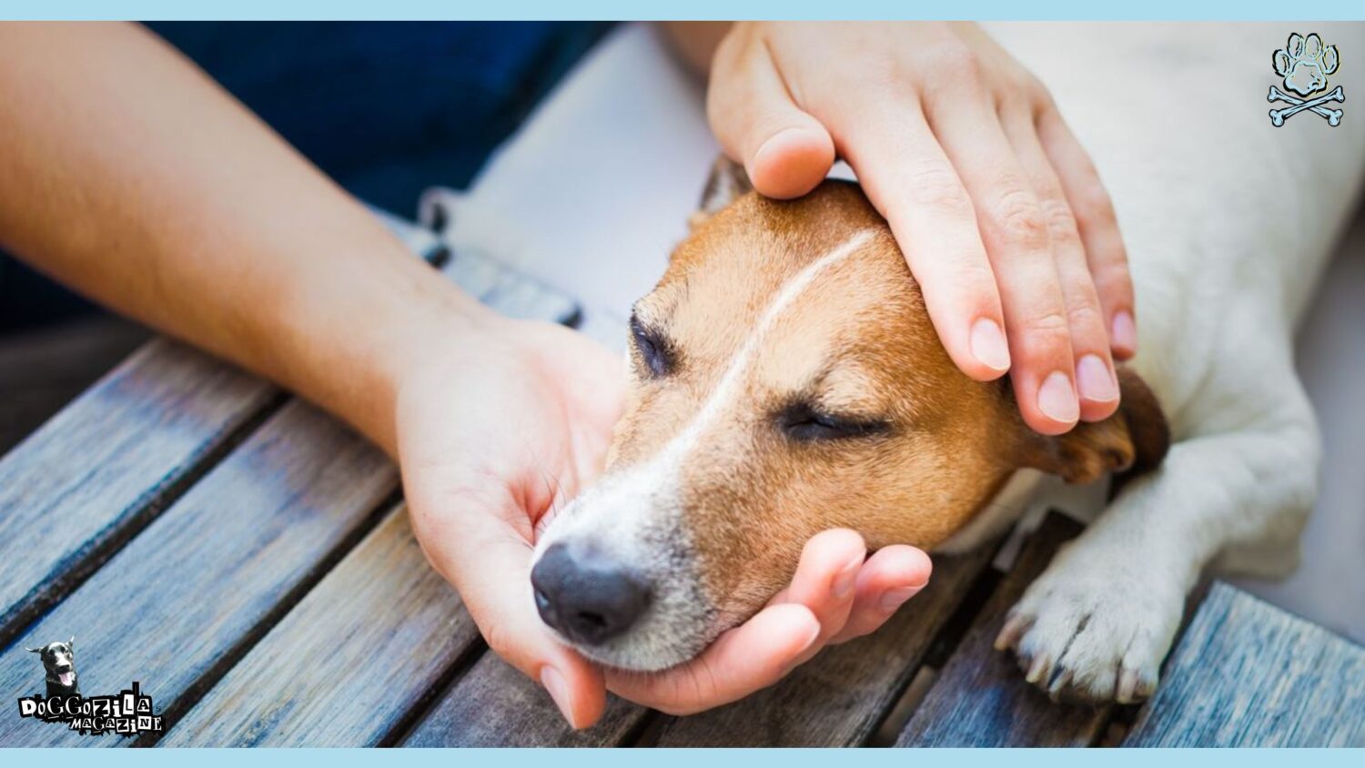 Do Dogs Grieve for Other Dogs & How to Heal The Canine Grief? • Doggozila