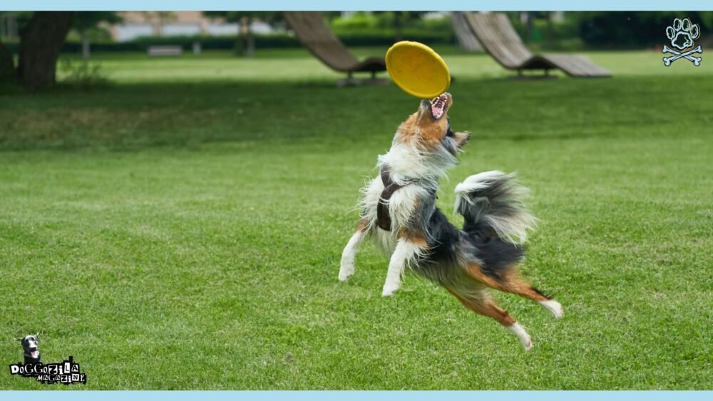 How to Calm a Dog Down Instantly: A Guide to Relax – Doggozila Magazine