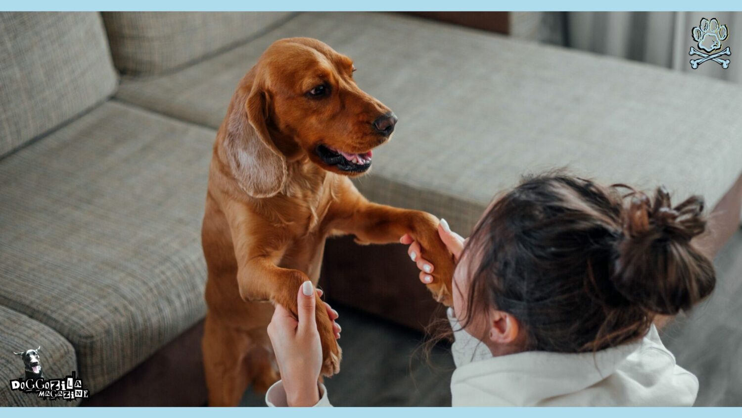 How to Calm a Dog Down Instantly: A Guide to Relax • Doggozila Magazine