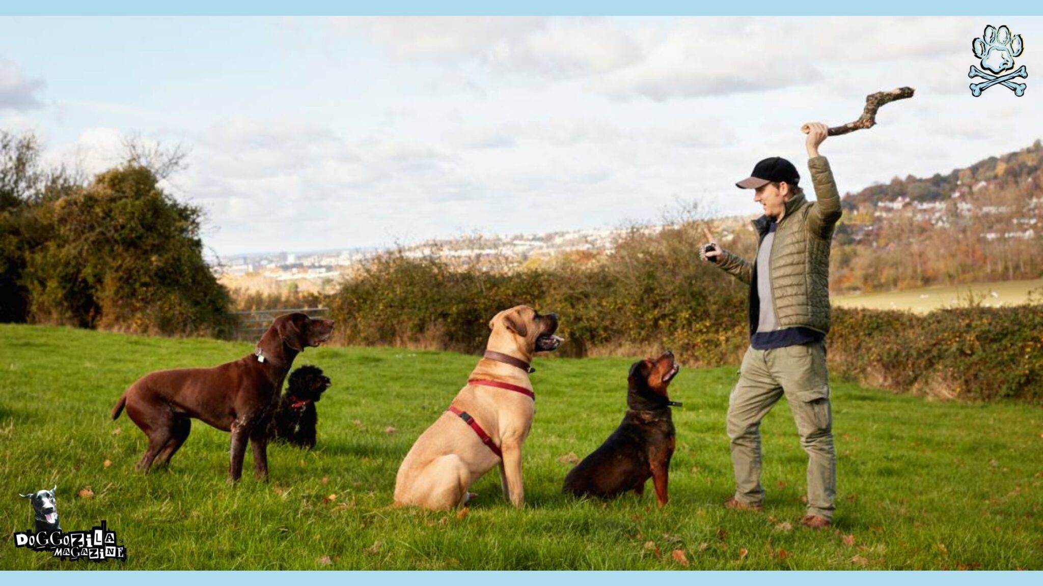 How to Calm a Dog Down Instantly: A Guide to Relax • Doggozila Magazine