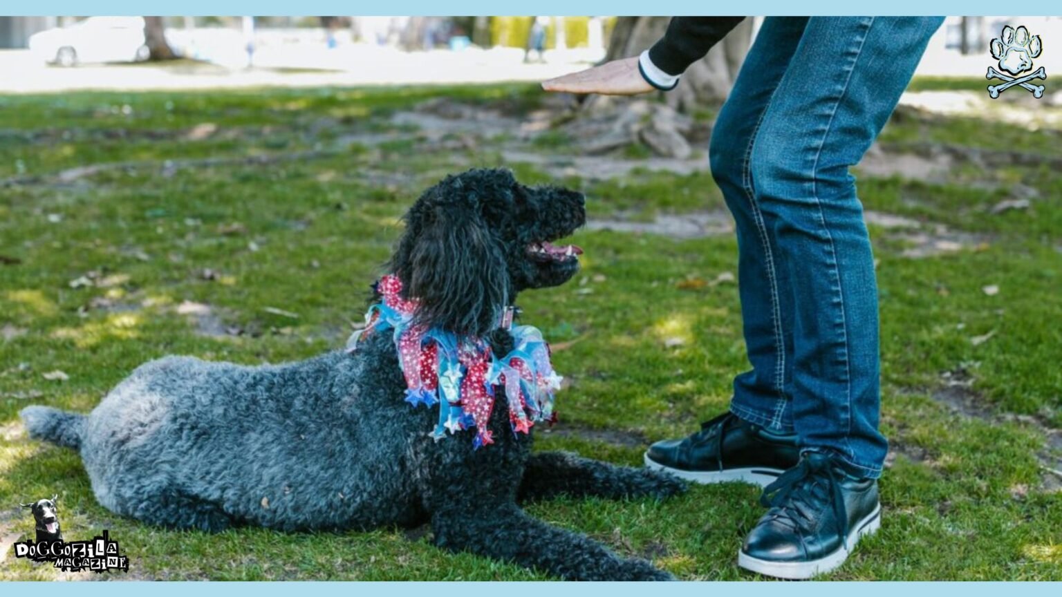 How to Train Your Dog to Play Dead: Step-by-Step Guide – Doggozila Magazine