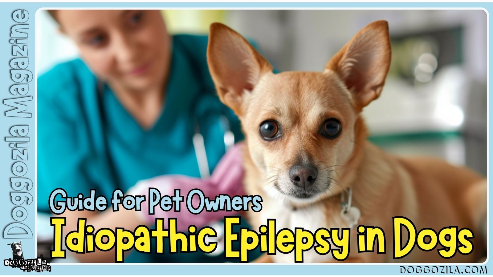Idiopathic Epilepsy in Dogs: A Guide for Pet Owners – Doggozila Magazine