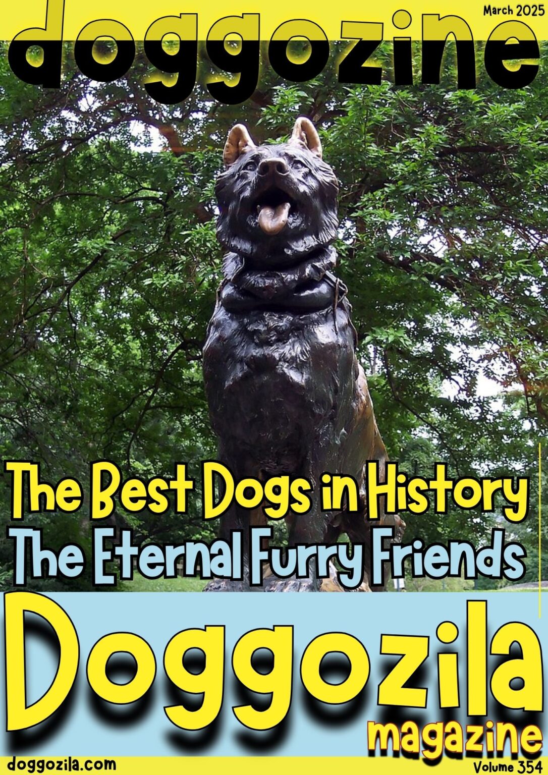 The Best Dogs in History: Our Eternal Furry Friends • Doggozila Magazine