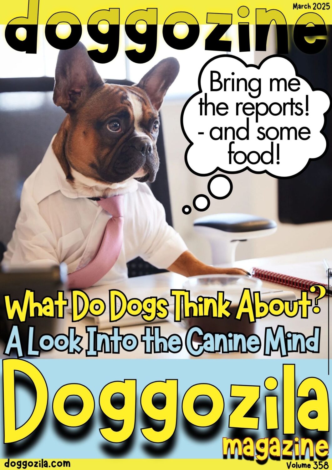 What Do Dogs Think About? Into the Canine Mind • Doggozila Magazine