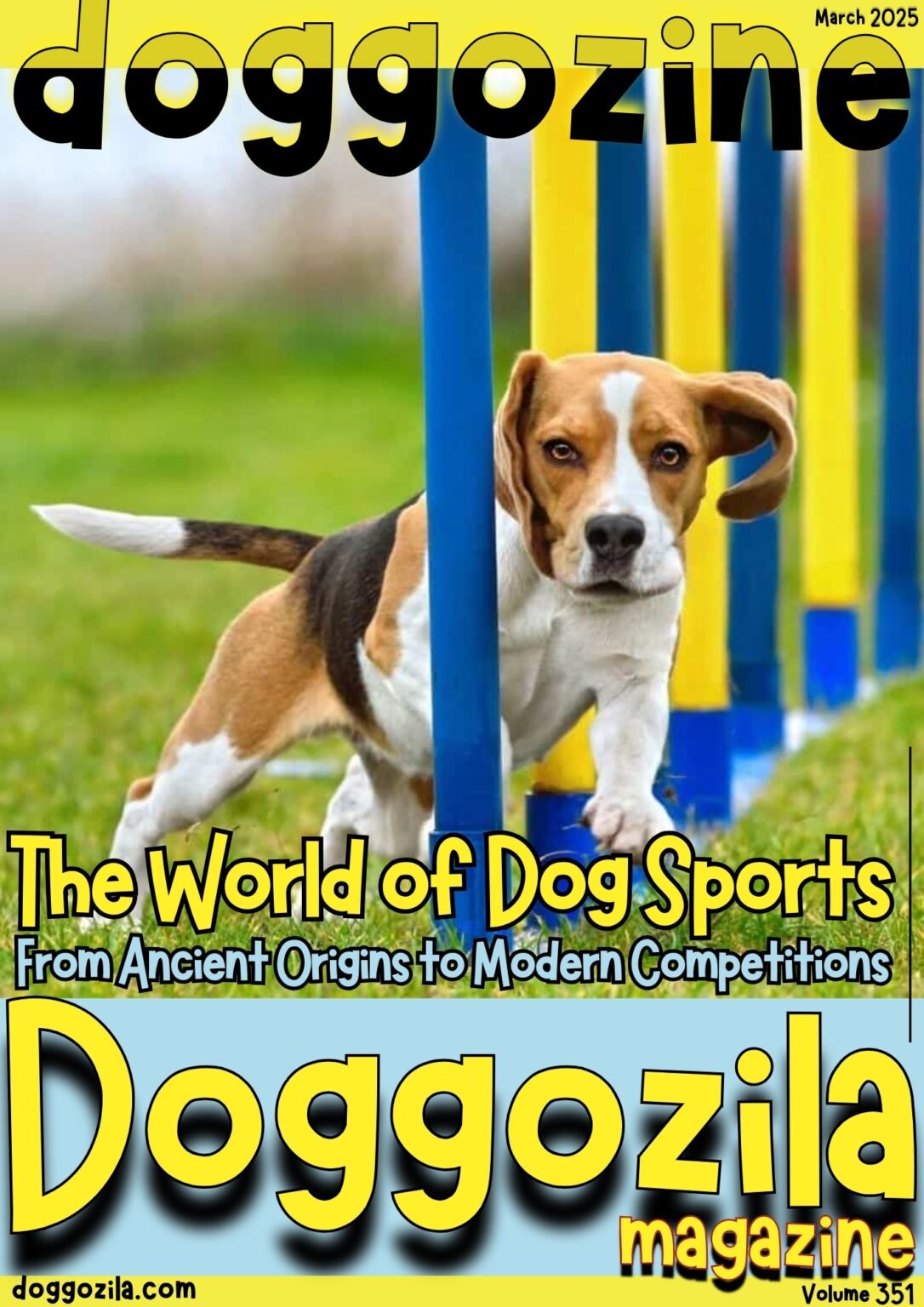 Dog Sports: Ancient Origins to Modern Competitions • Doggozila Magazine