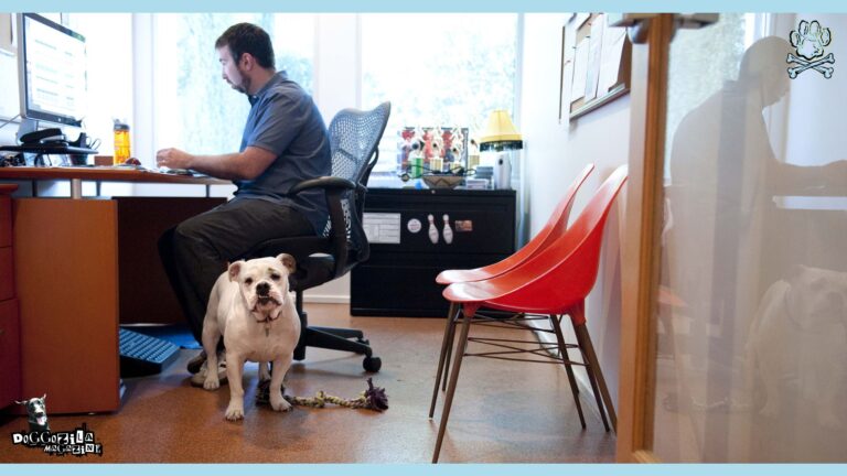 Dog Routine for Remote Work: Balancing Paws and Productivity • Doggozila