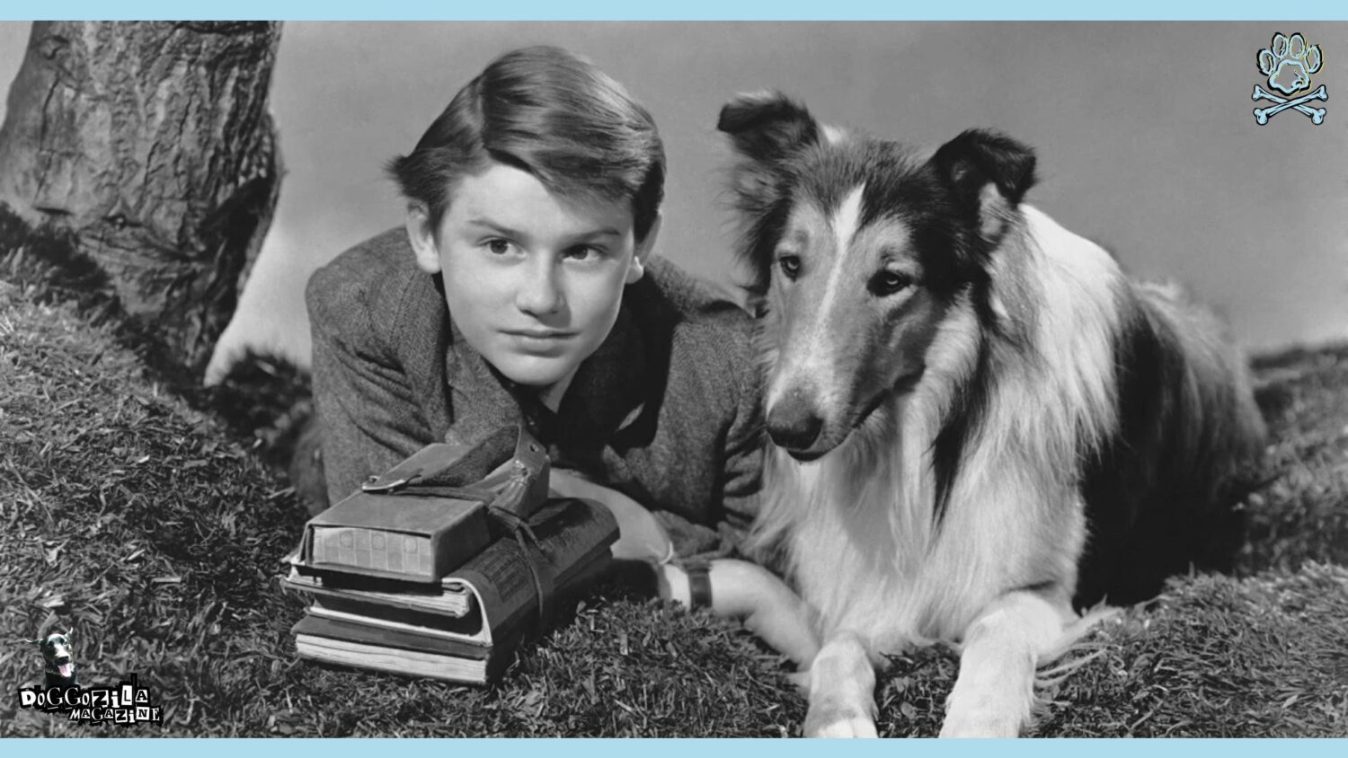 The Best Dogs in History: Our Eternal Furry Friends • Doggozila Magazine