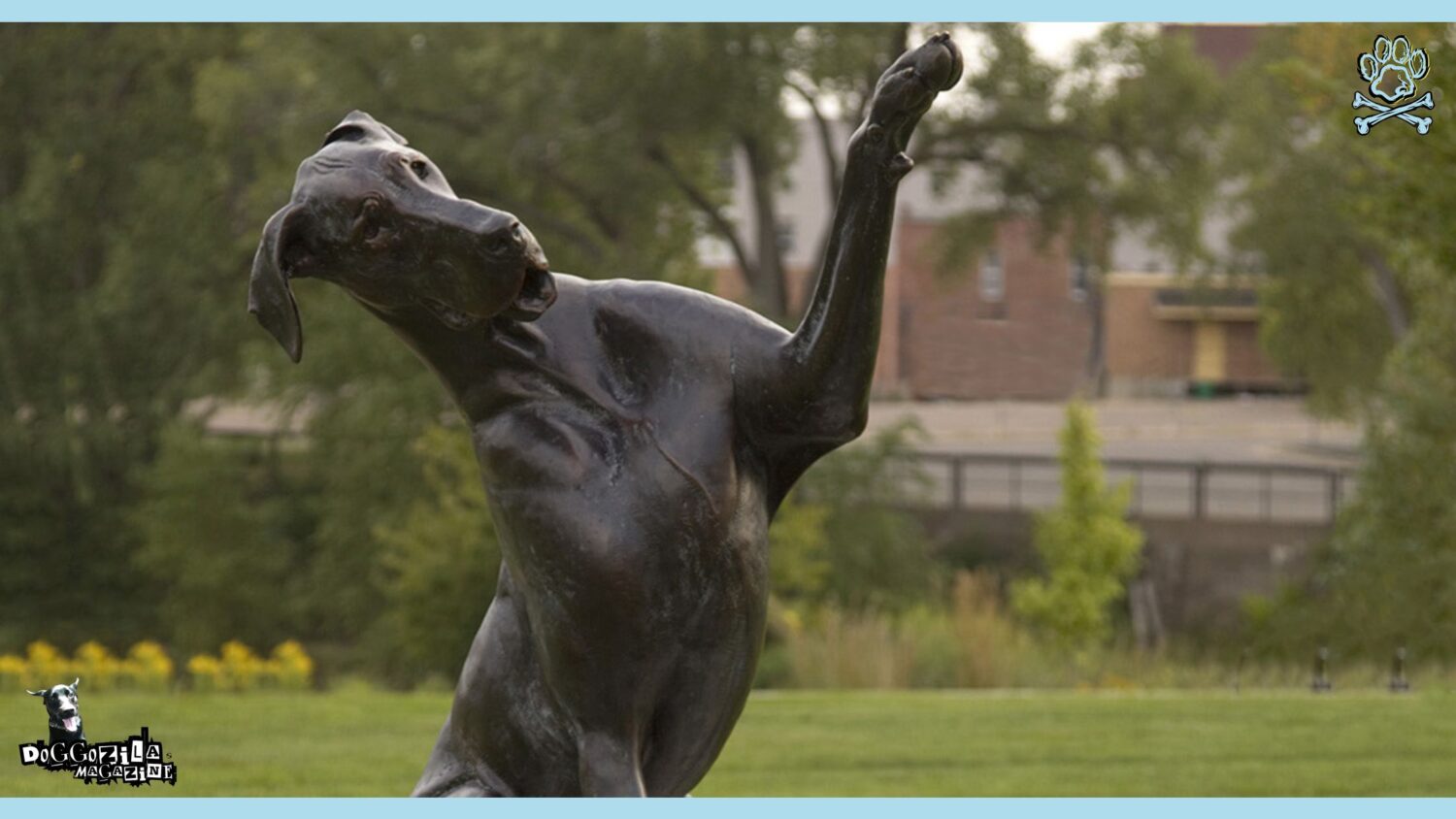 The Best Dogs in History: Our Eternal Furry Friends • Doggozila Magazine
