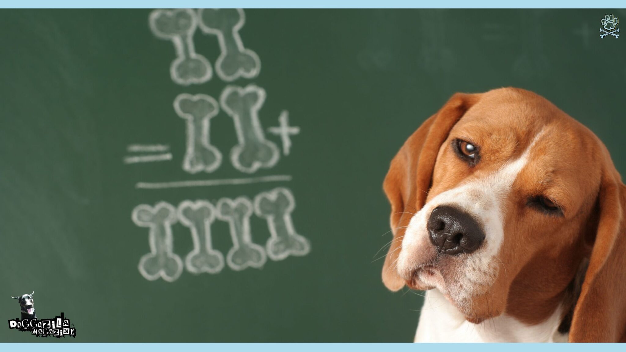 What Do Dogs Think About? Into the Canine Mind – Doggozila Magazine