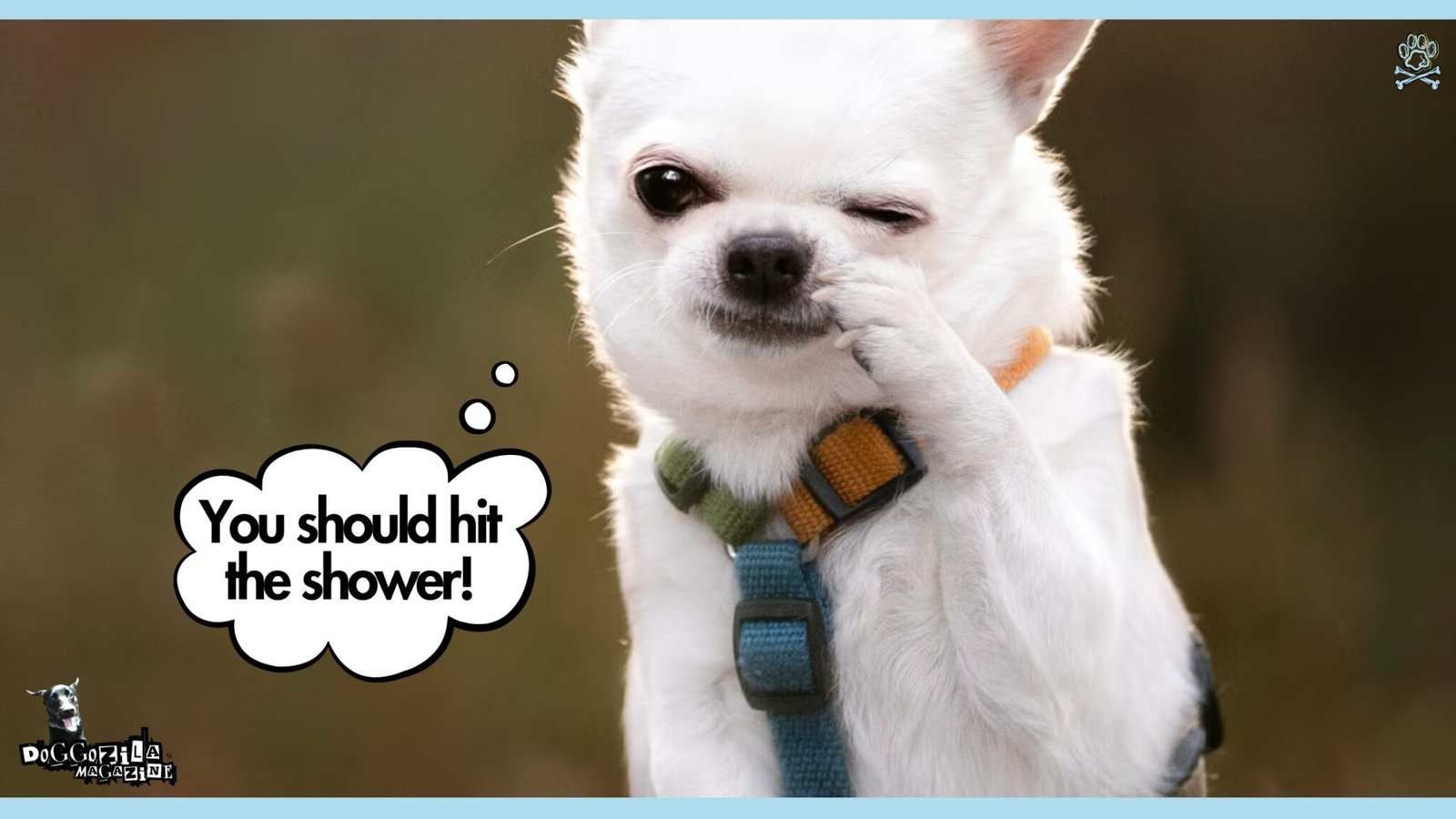 What Do Dogs Think About? Into the Canine Mind – Doggozila Magazine