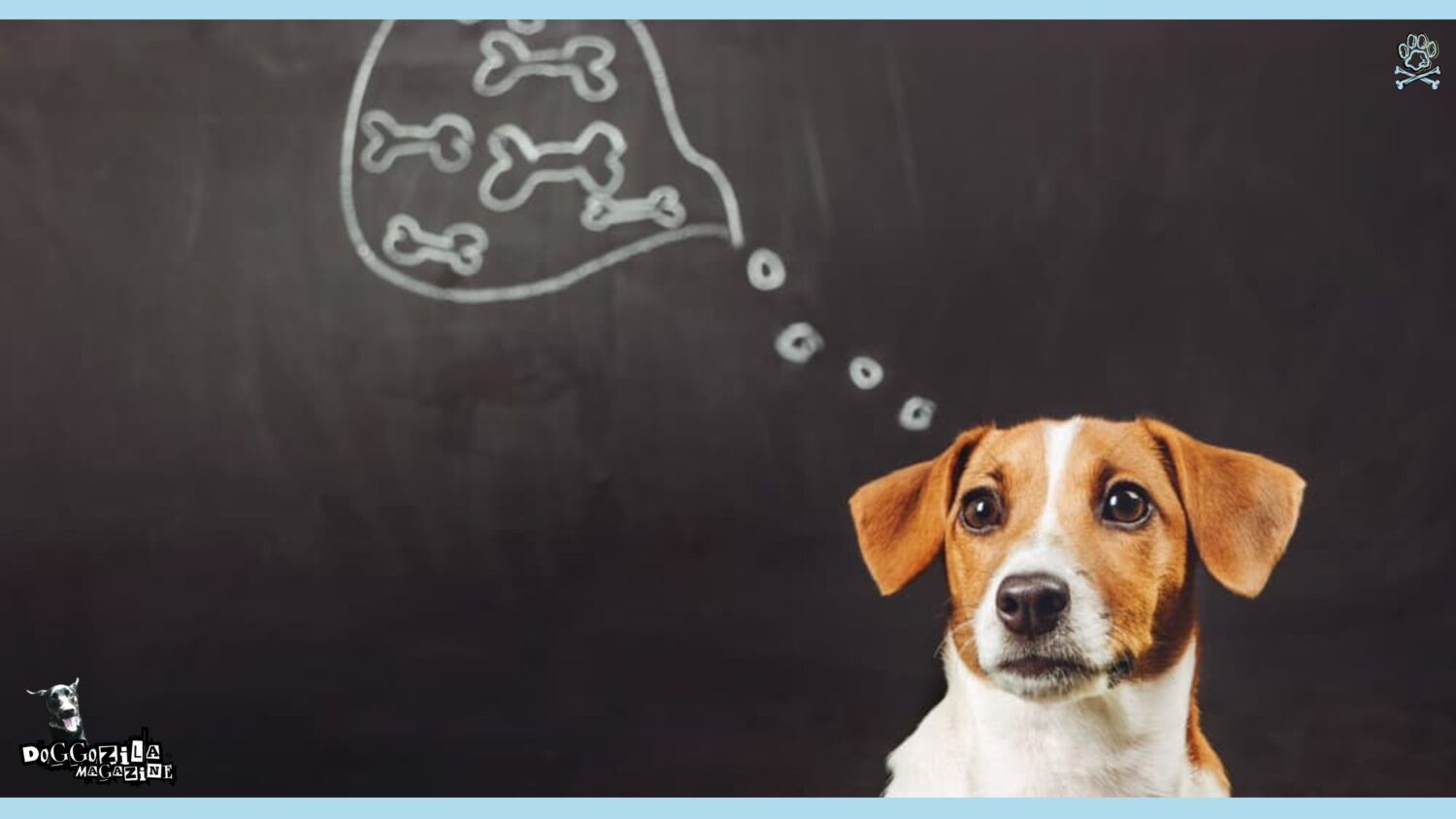 What Do Dogs Think About? Into the Canine Mind • Doggozila Magazine