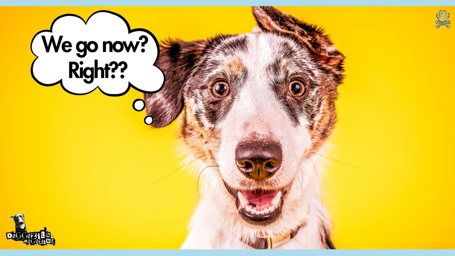 What Do Dogs Think About? Into the Canine Mind – Doggozila Magazine