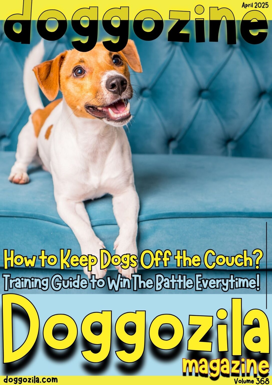 How to Keep Dogs Off the Couch: Win The Battle • Doggozila Magazine