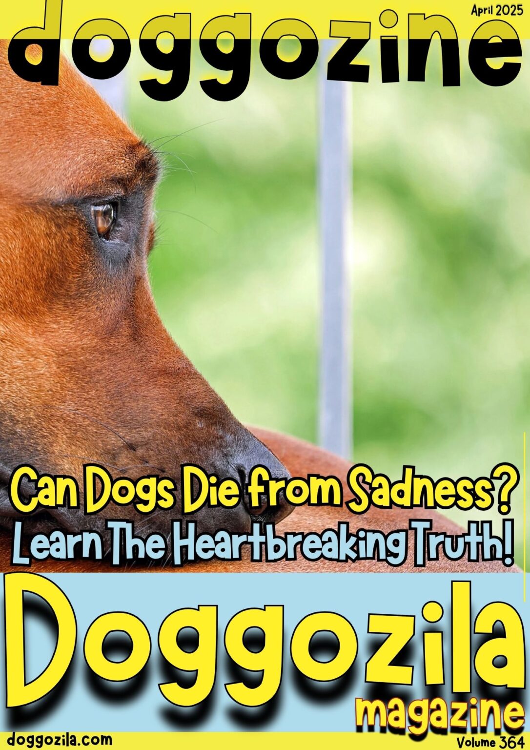 Can Dogs Die from Sadness? The Heartbreaking Truth! • Doggozila Magazine