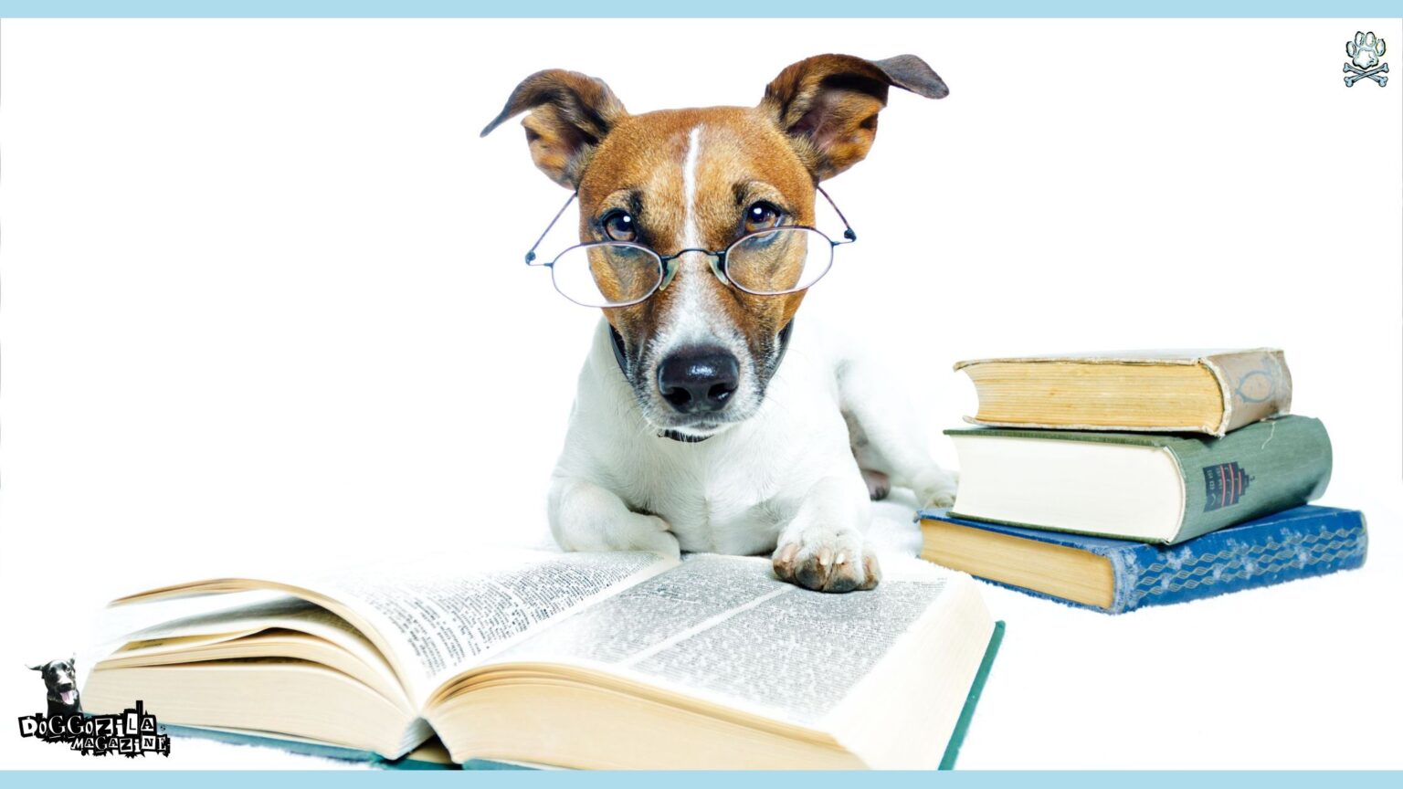 How Quickly Do Dogs Learn? Look Into The Science • Doggozila Magazine