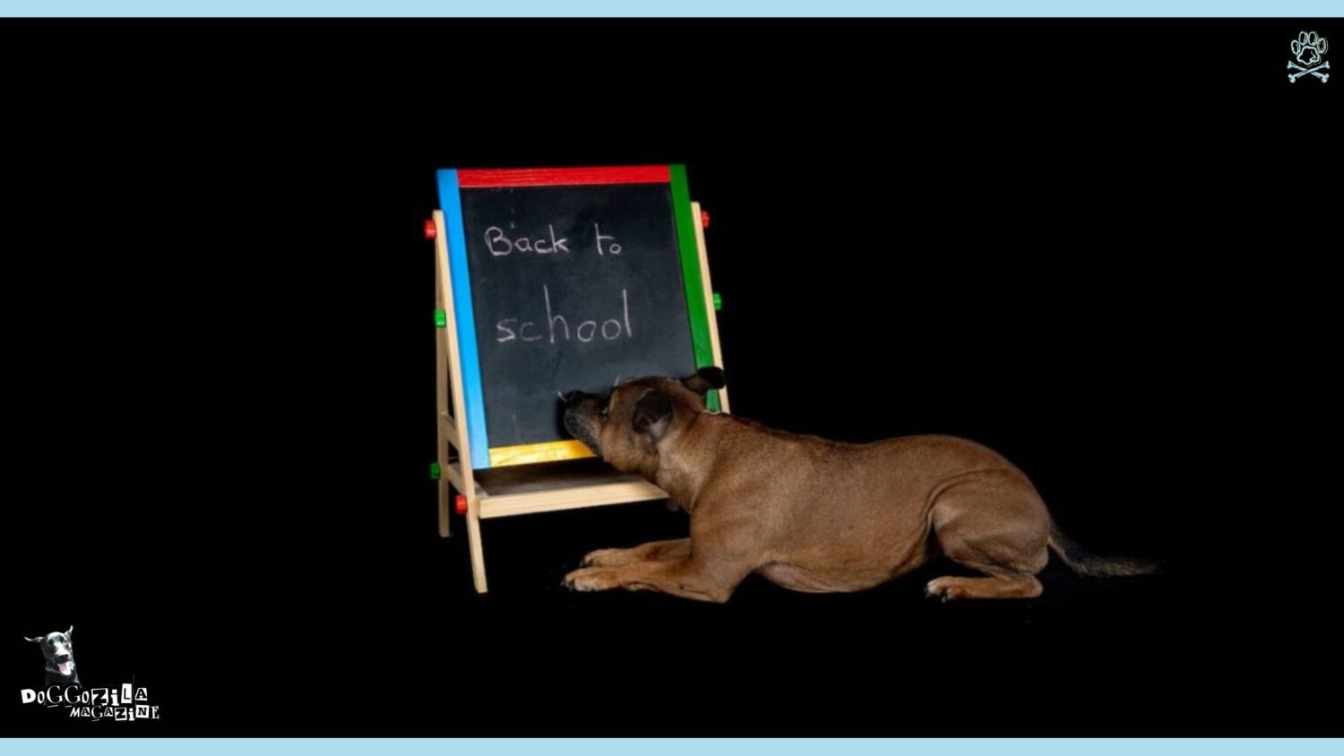 How Quickly Do Dogs Learn? Look Into The Science • Doggozila Magazine