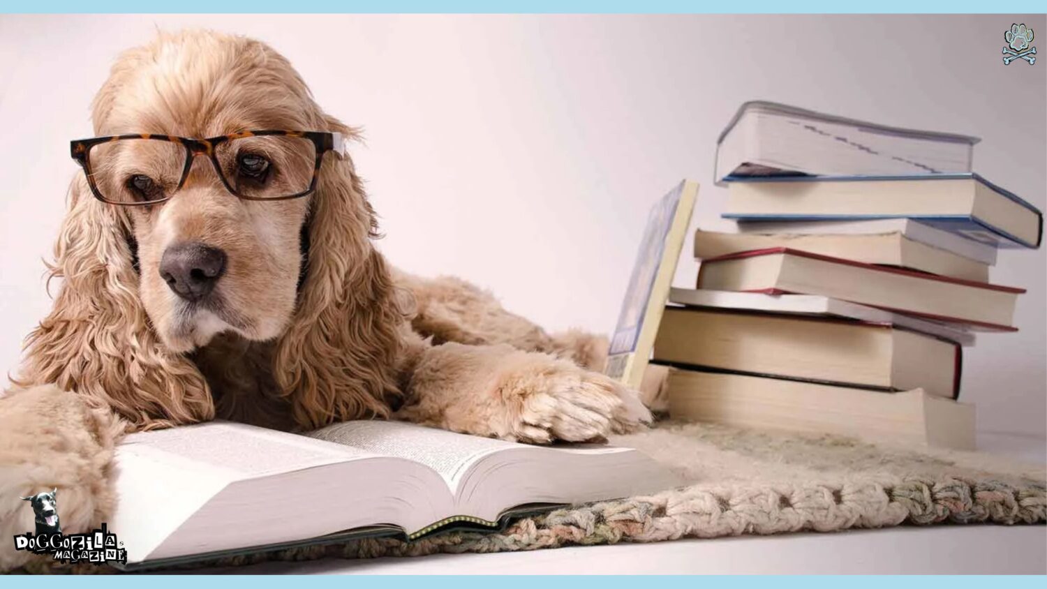 How Quickly Do Dogs Learn? Look Into The Science • Doggozila Magazine