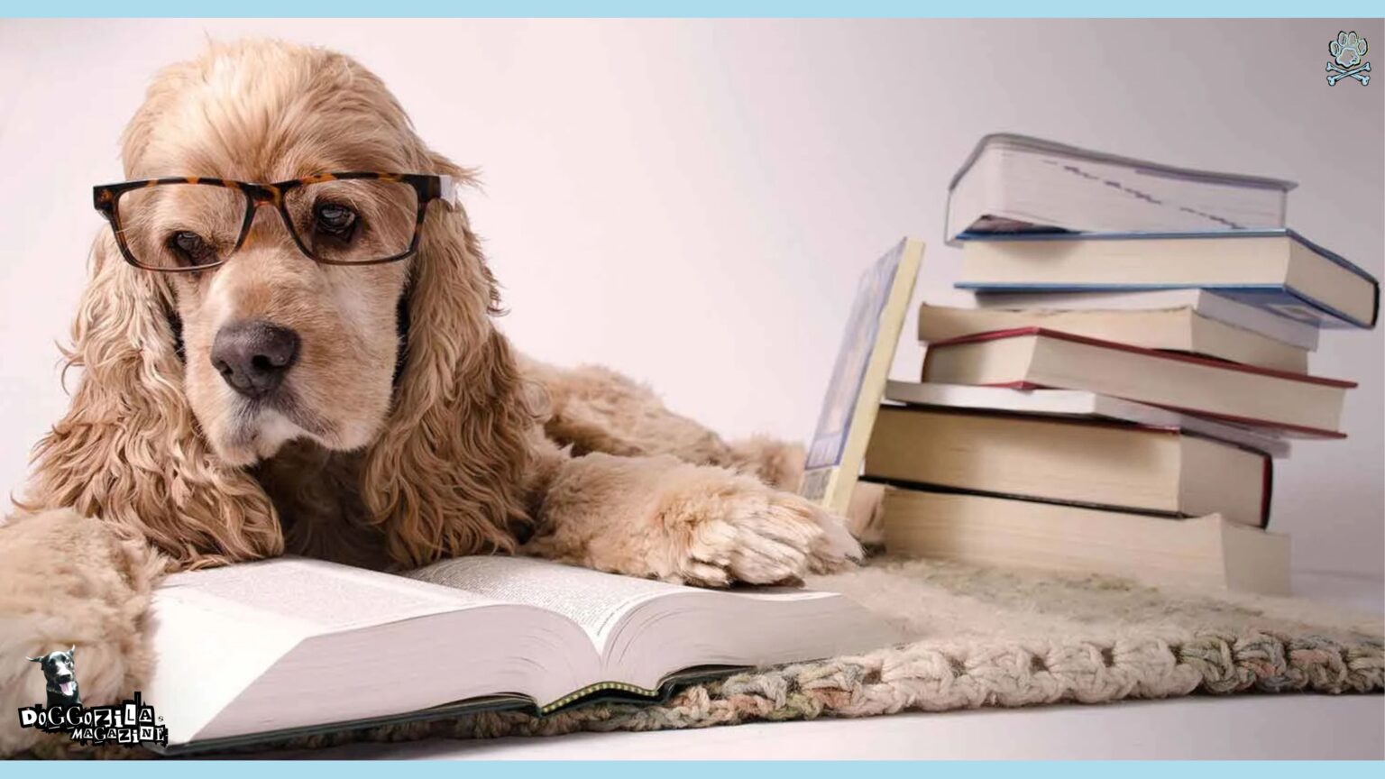 How Quickly Do Dogs Learn? Look Into The Science • Doggozila Magazine