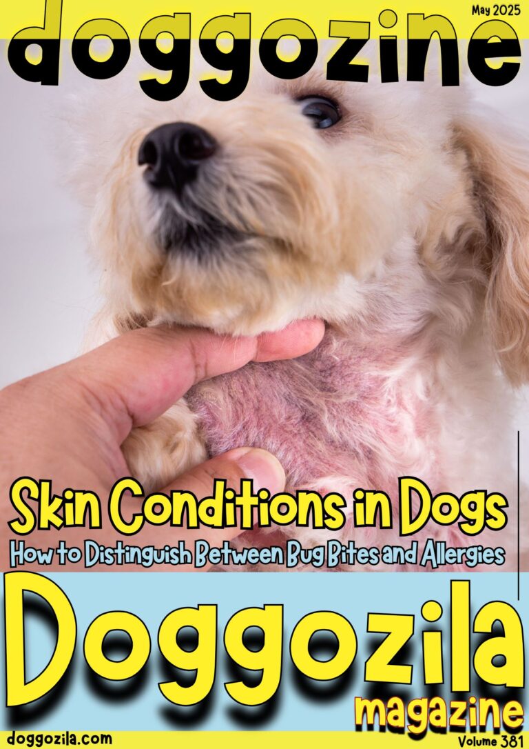 Skin Conditions in Dogs: Identify Allergies or Bug Bites? • Doggozila ...