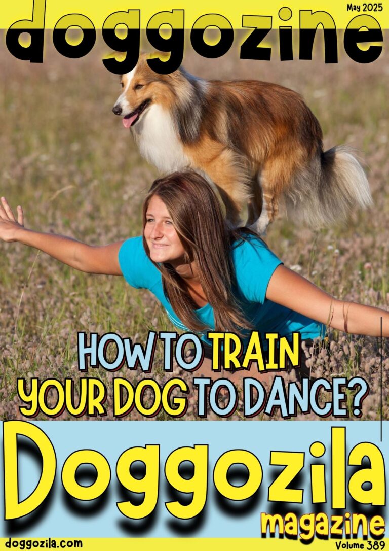 How to Train Your Dog to Dance: The Canine Freestyle • Doggozila Magazine