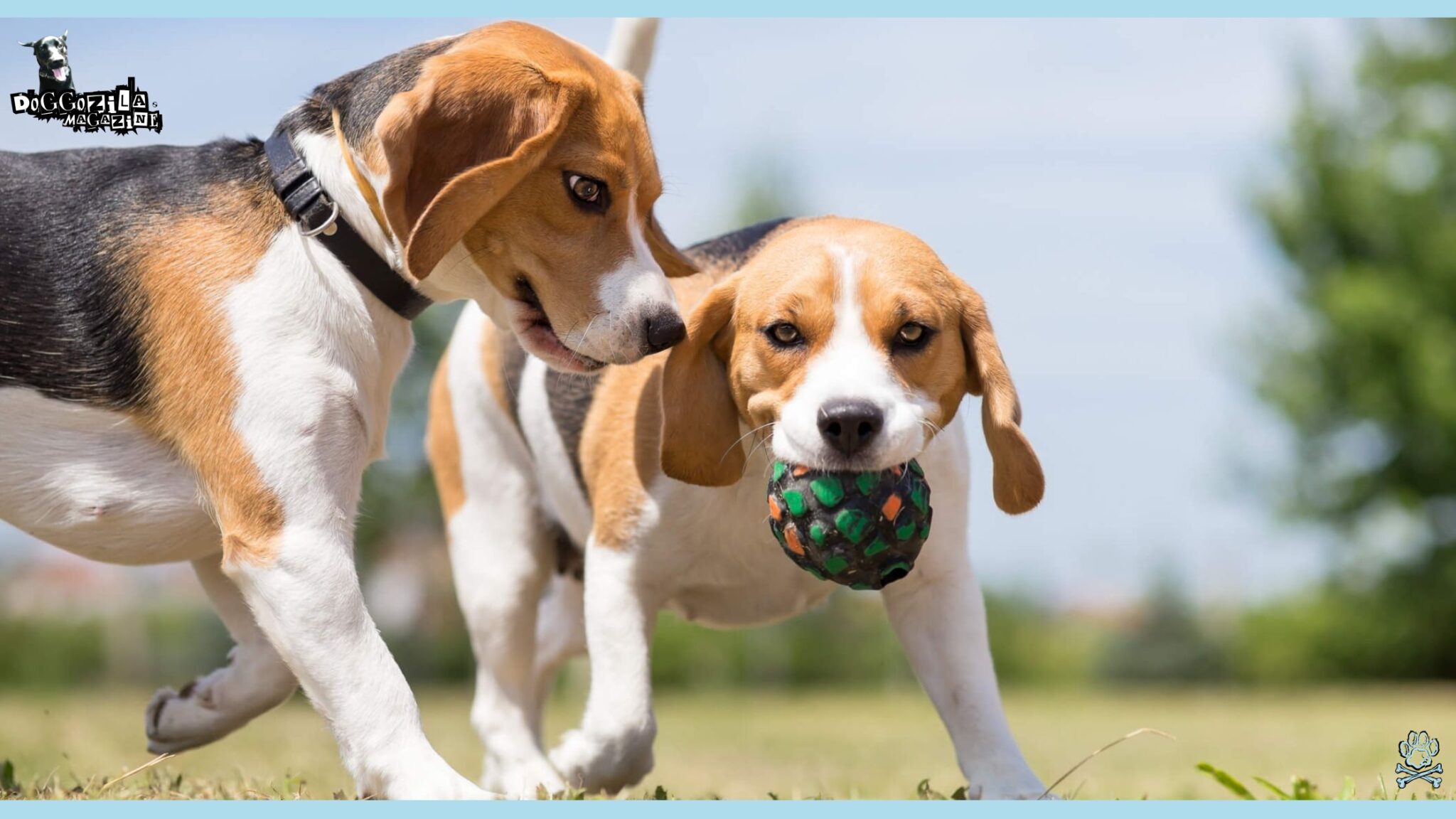 Do Dogs Flirt? World of Dog Foreplay, Romance and Love • Doggozila