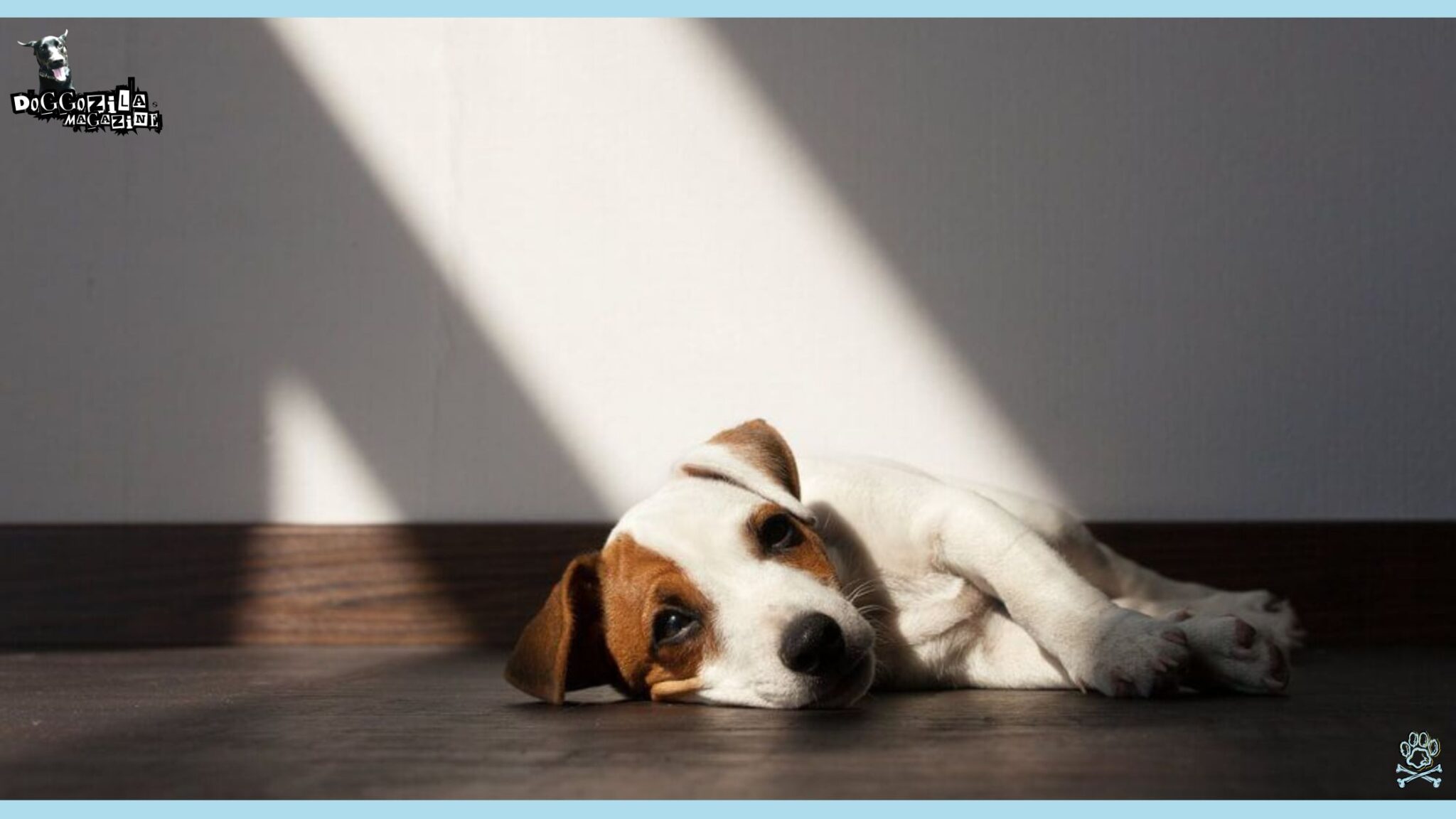 Do Dogs Have Thoughts? Unravel the Pups Mind • Doggozila