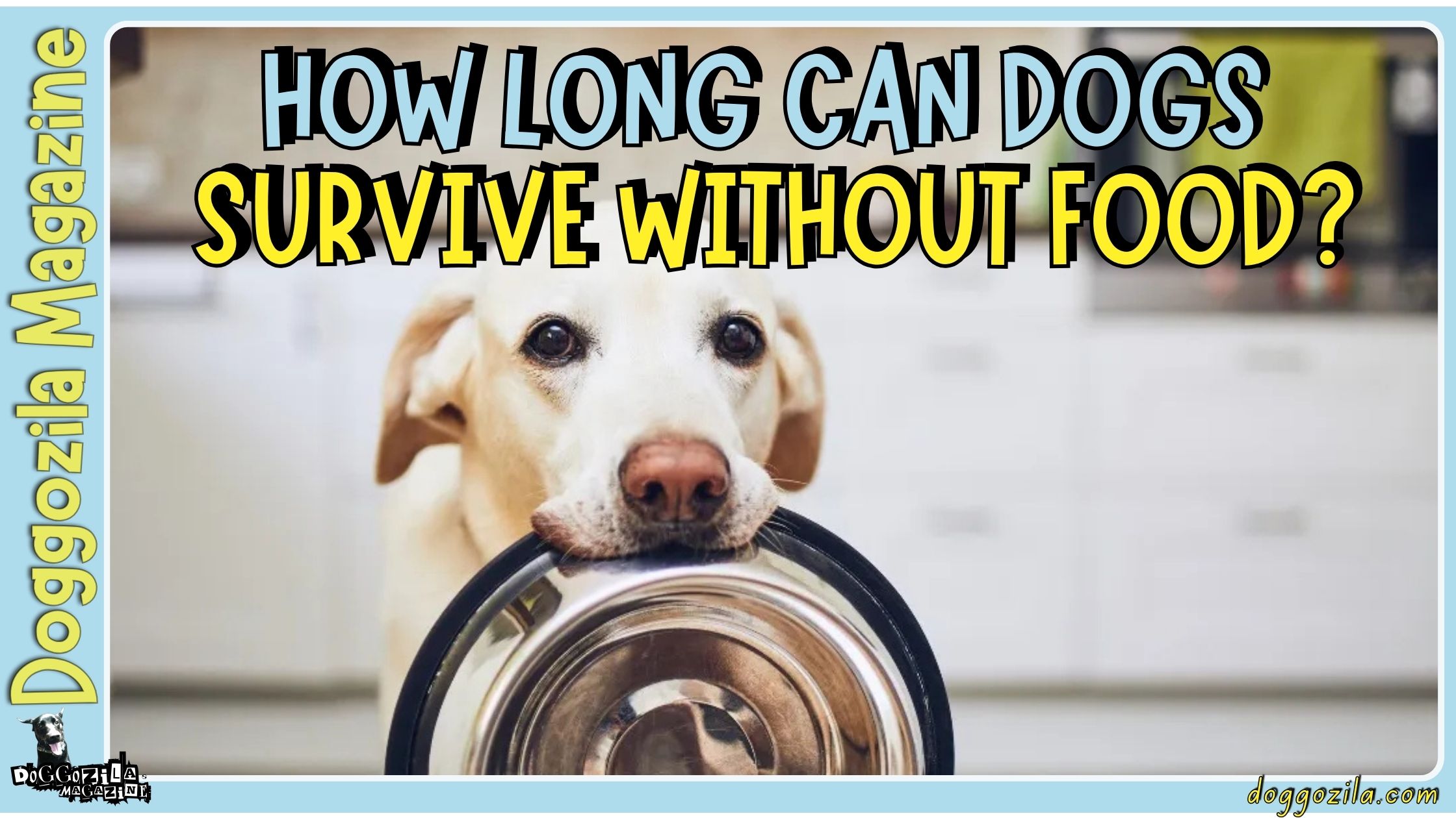 How Long Can Dogs Go Without Food? • Doggozila Magazine