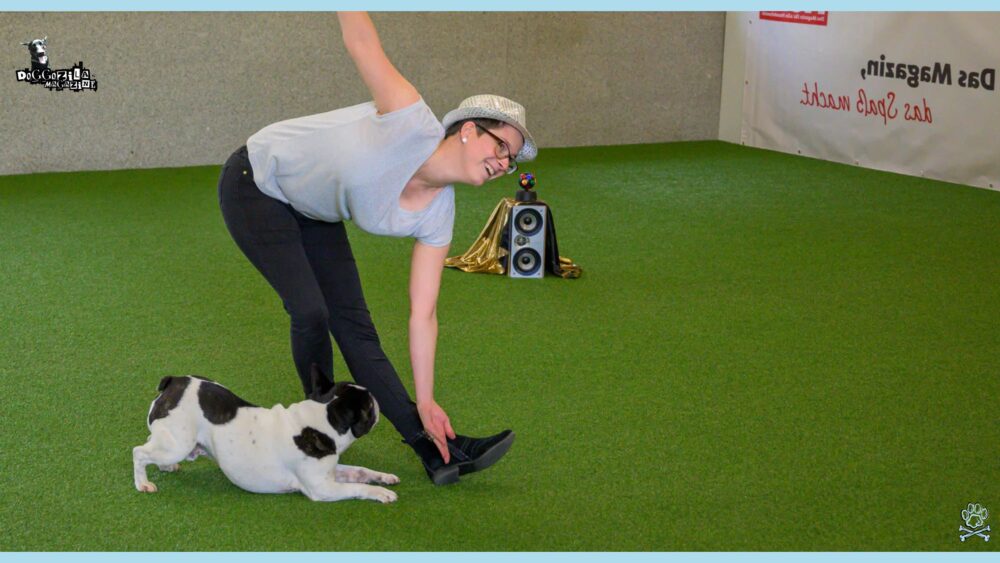 How to Train Your Dog to Dance: The Canine Freestyle • Doggozila Magazine