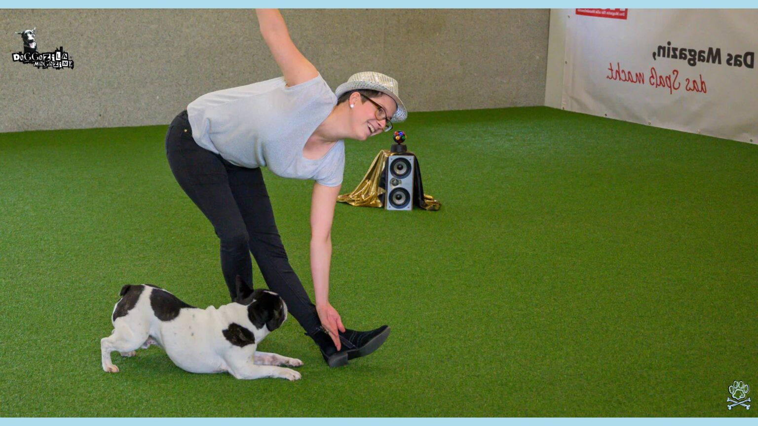 How to Train Your Dog to Dance: The Canine Freestyle • Doggozila Magazine