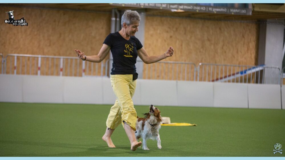 How to Train Your Dog to Dance: The Canine Freestyle • Doggozila Magazine