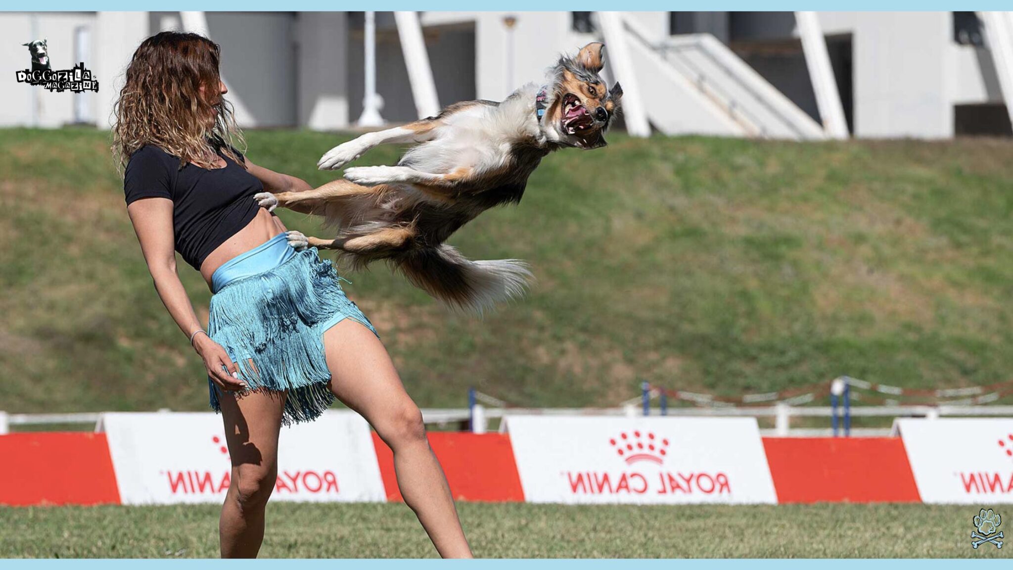 How to Train Your Dog to Dance: The Canine Freestyle • Doggozila Magazine