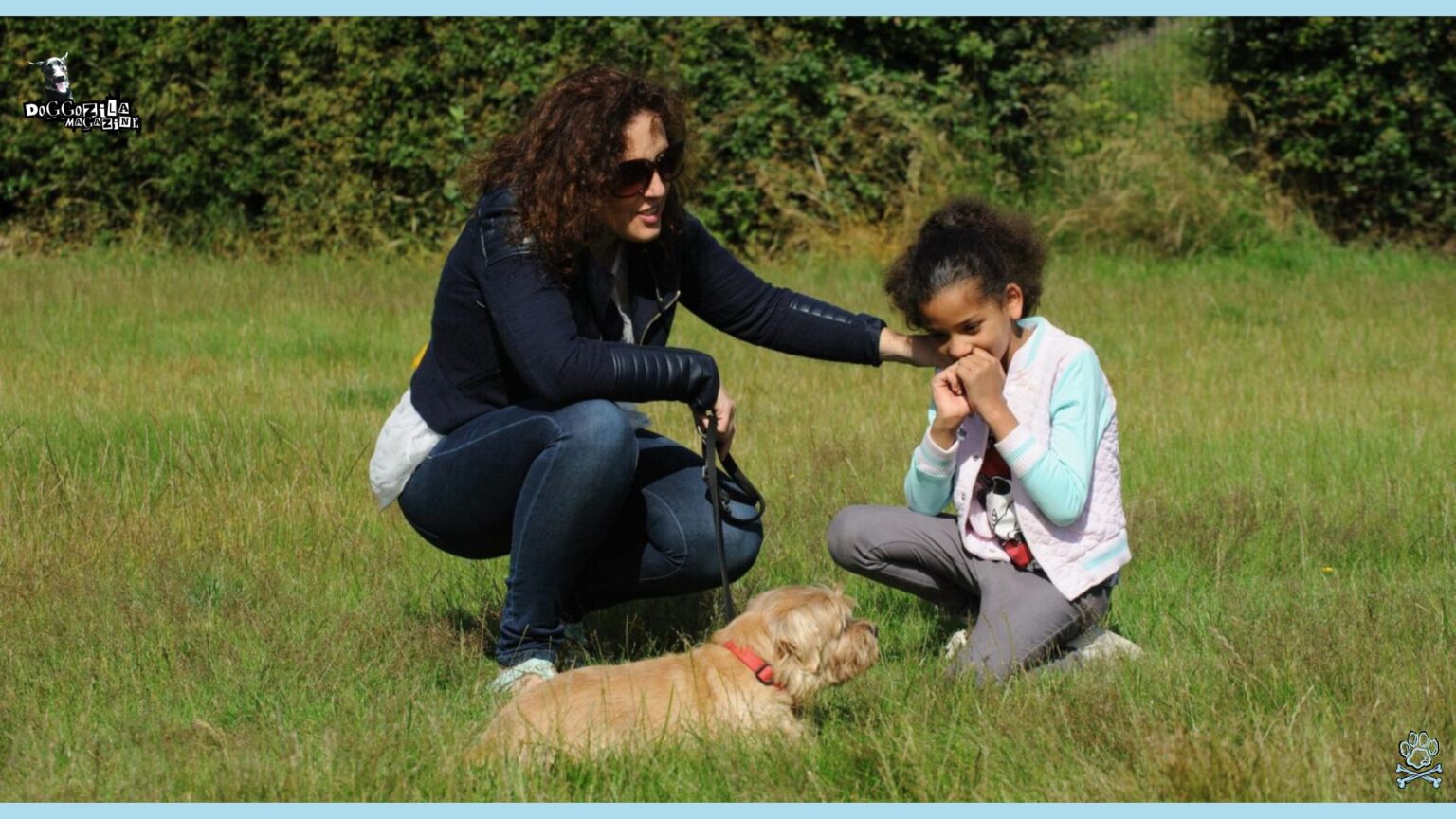 Why Do Dogs Often Approach People Who Are Afraid of Them? • Doggozila