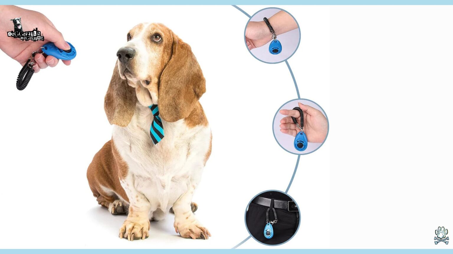 Clicker Training for Dogs: How to Start to Use the Click? – Doggozila Magazine