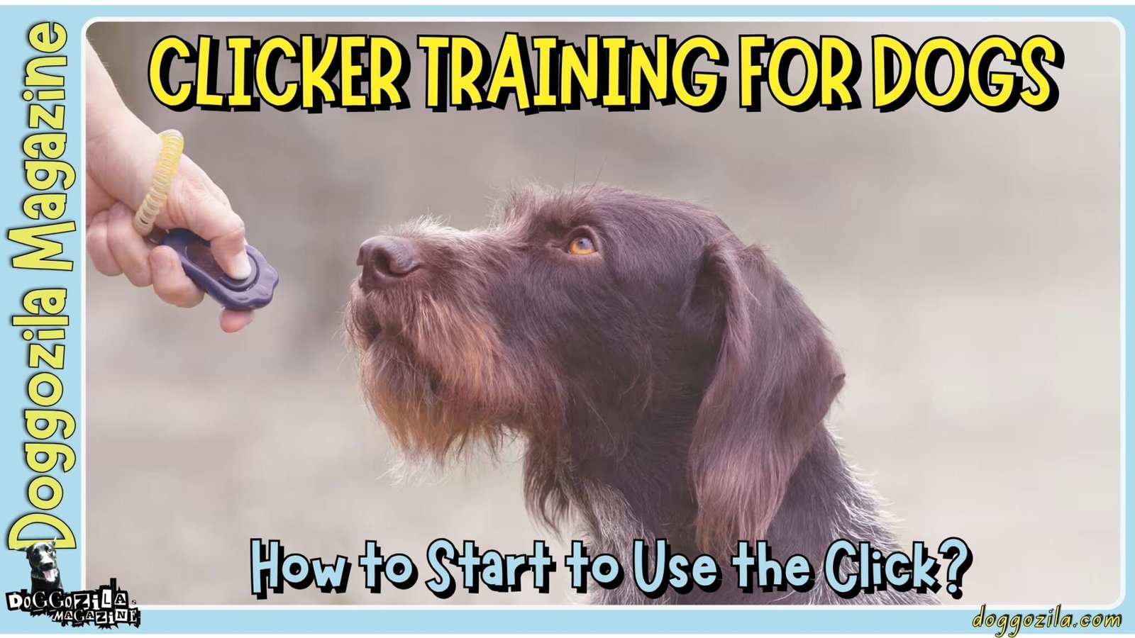 Doggozine: Your Epic Dog Lifestyle Magazine at Doggozila.com