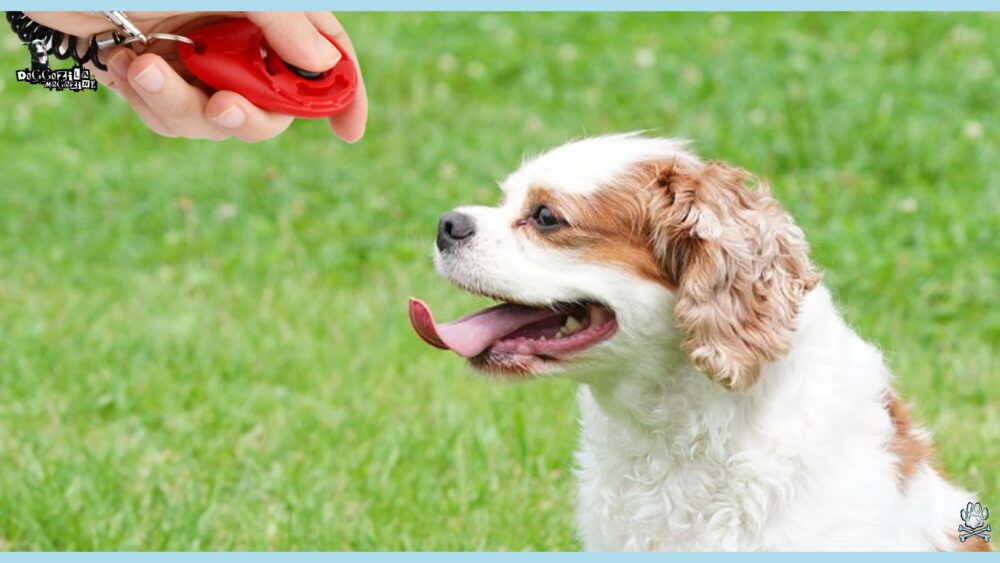 Clicker Training for Dogs: How to Start to Use the Click? • Doggozila ...