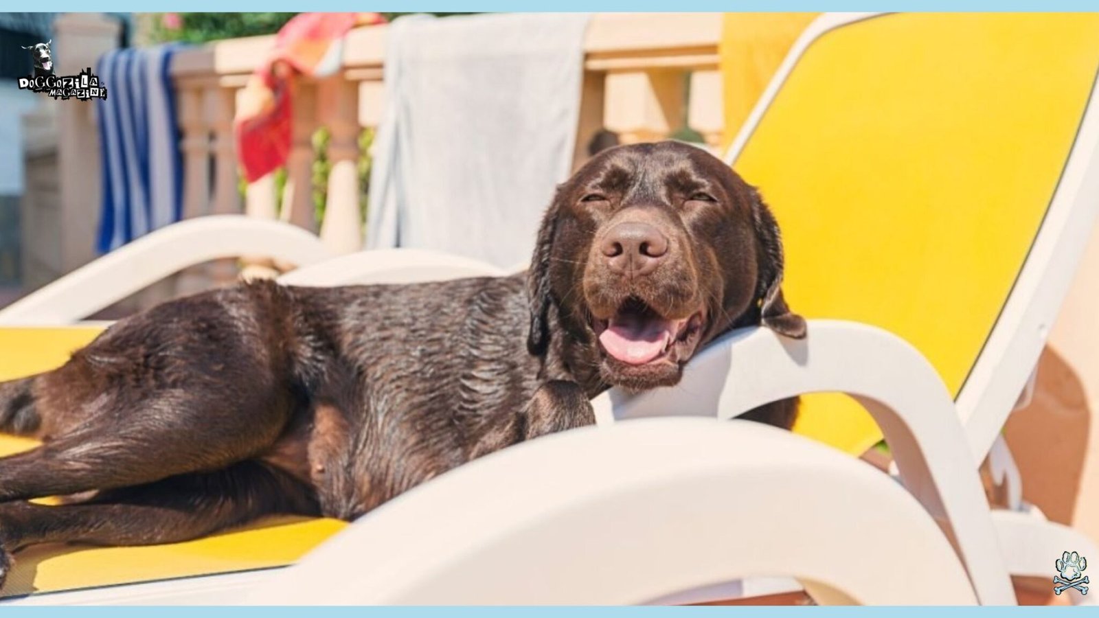 How Do Dogs Sweat? The Pup-Sicle Cooling System – Doggozila Magazine