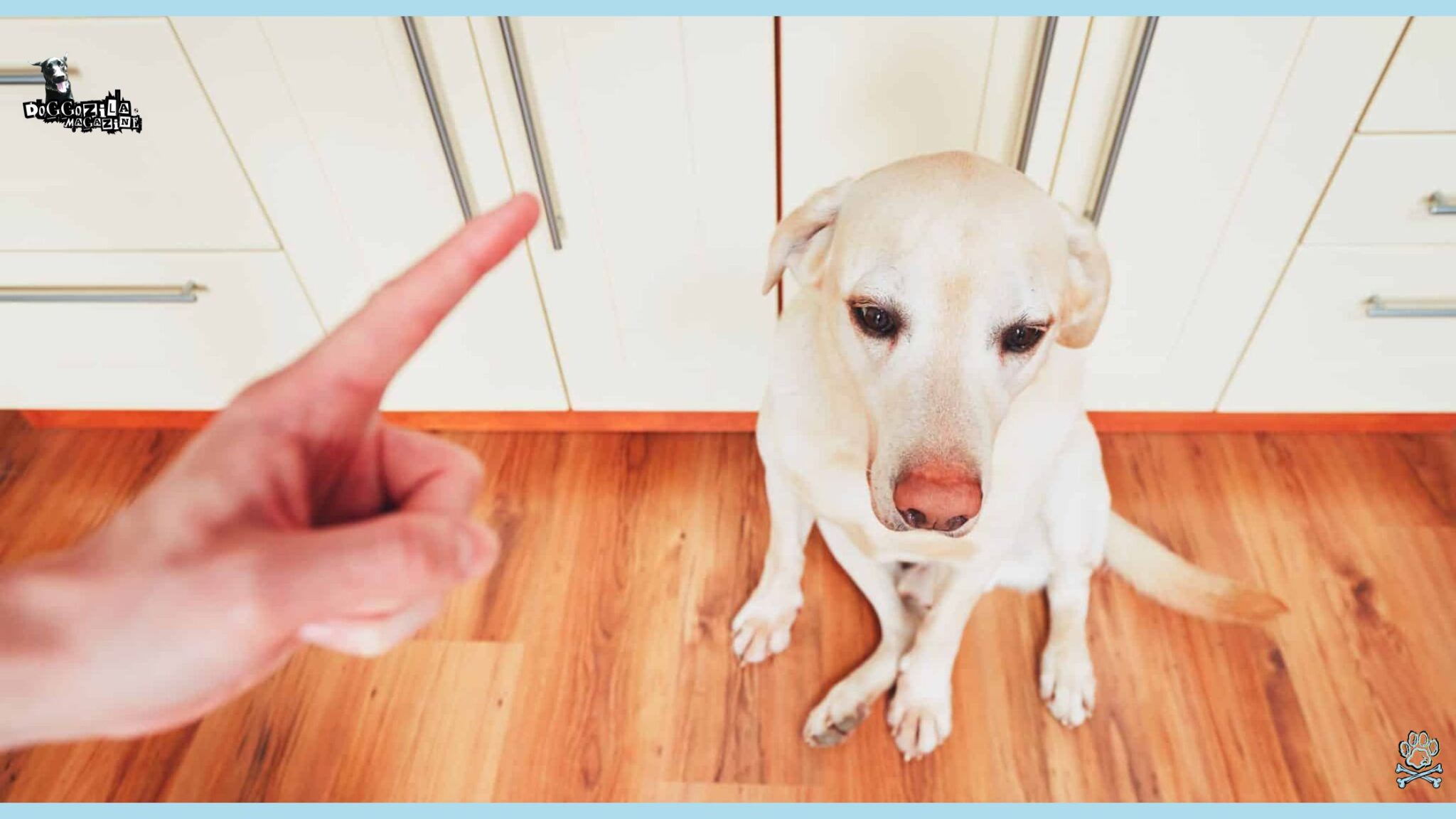 How do Dogs Apologize: The Wagging White Flag! • Doggozila Magazine