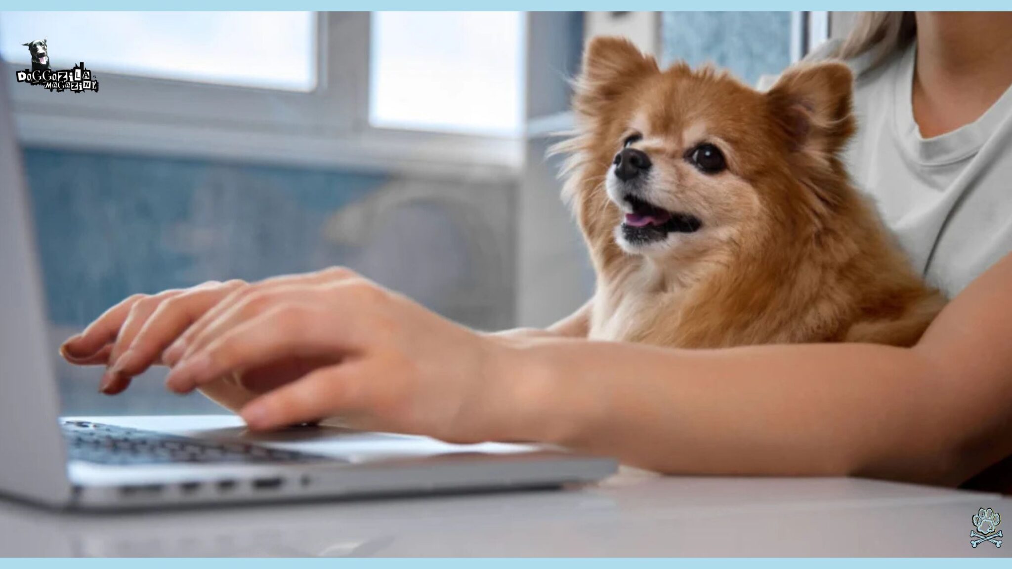 Velcro Dogs: Why Is My Dog So Clingy? • Doggozila Magazine